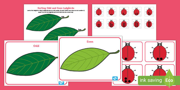 👉 Even and Odd Numbers Ladybirds Activity Pack