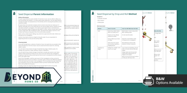 Seed Dispersal Practical | Science Home Learning | Beyond