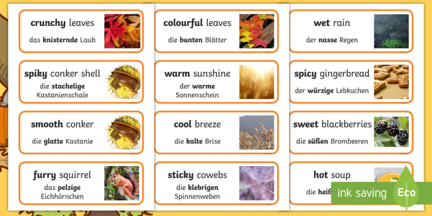 Autumn Senses Word Cards English/German