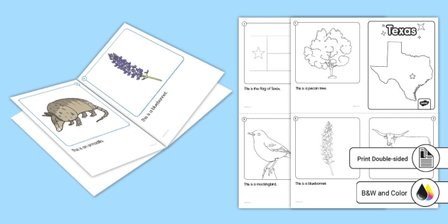 Texas Coloring Pages State Symbols