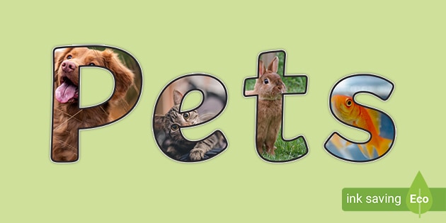 Pets Photo Display Lettering