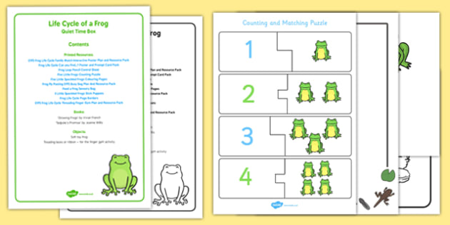 Life Cycle of a Frog Quiet Time Box Quiet Time Box