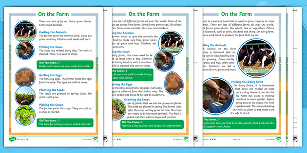 KS1 On the Farm Non-Fiction Reading Comprehension Activity