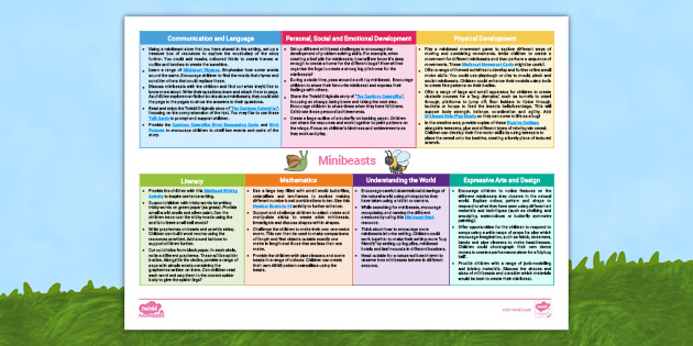 EYFS Reception Topic Planning Web: Minibeasts (New EYFS 2021)