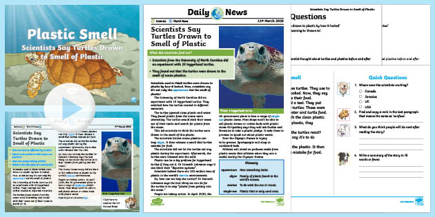 UKS2 Plastic Affecting Turtles Daily News Resource Pack