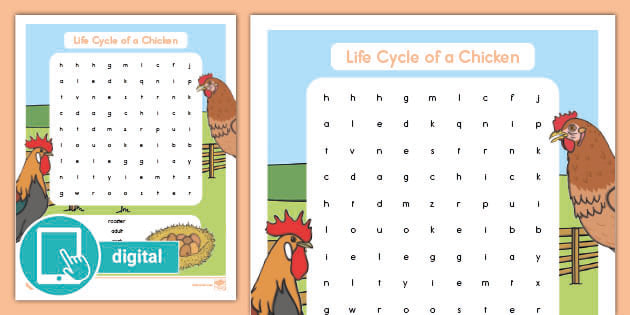 Life Cycle of a Chicken Word Search (teacher made)