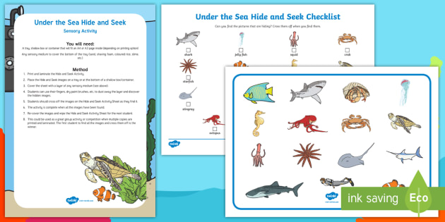 Under The Sea 'Hide and Seek' Sensory Activity