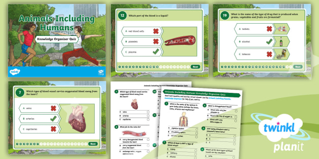 Animals Including Humans Year 6 Knowledge Organiser Quiz