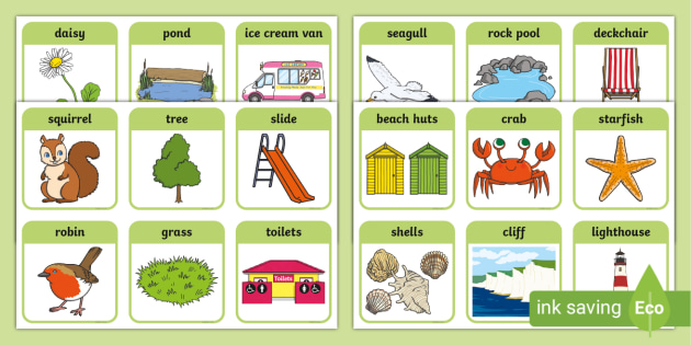 Beach or Park Sorting Cards | Twinkl (teacher made)