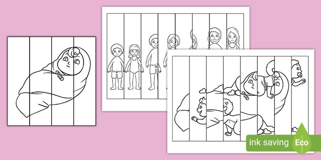 Human Growth Agamographs Colouring Pages (teacher made)