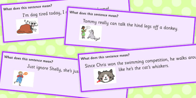 Animal Idioms Sentences Set 3 (teacher made)