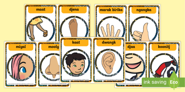 Noongar Language Body Parts A5 Display Cards (teacher made)
