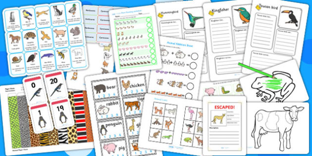Animals Activity Pack