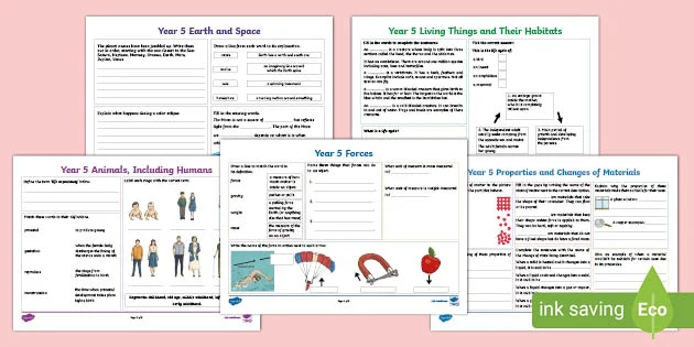 Year 5 Animals Including Humans Revision Activity Mat