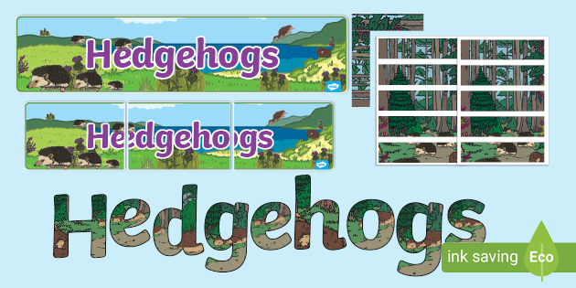 Hedgehog Resources – Classroom Display Pack (Teacher-Made)
