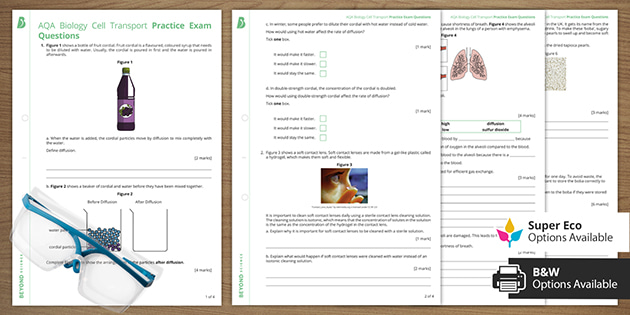 AQA Biology Cell Transport Exam Questions (teacher made)