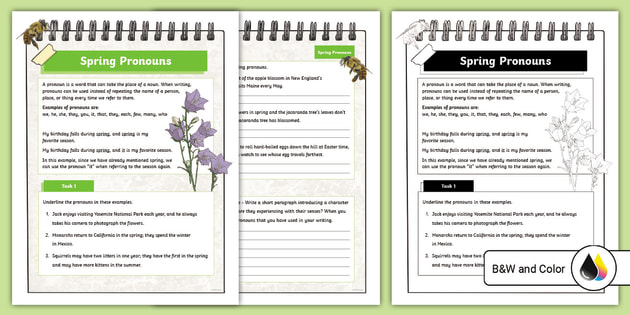 Spring Pronouns Activity (teacher made)