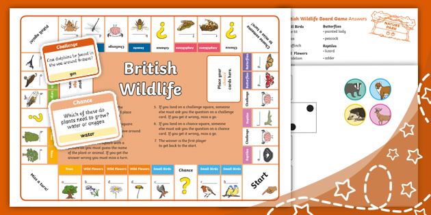 British Wildlife Board Game (teacher made)