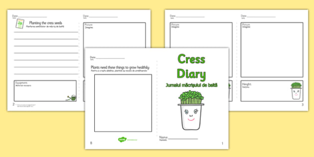 Growing Cress Diary Writing Frame Romanian Translation