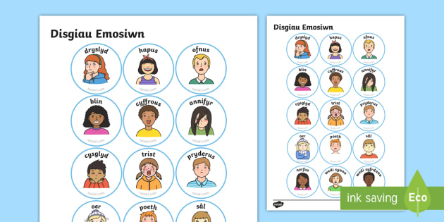 Emotions Disks Resource Pack Welsh