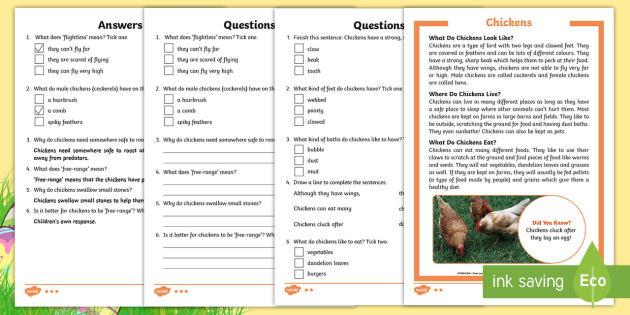 KS1 Chickens Differentiated Reading Comprehension Activity