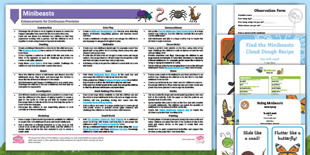 EYFS Minibeasts Continuous Provision Resource Pack (Age 2-4)
