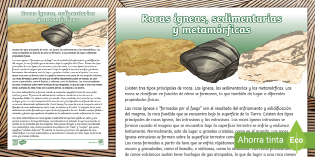 Hoja De Trabajo Sobre Rocas Sedimentarias