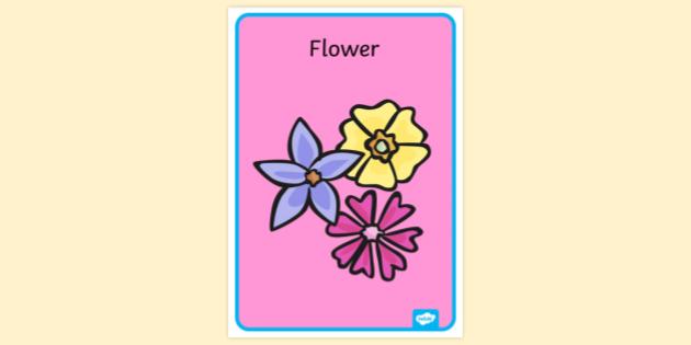 FREE! - Printable Flower Poster Display Poster | Primary Resources