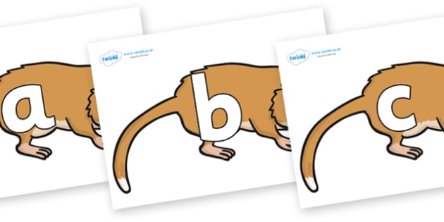 Phoneme Displays | twinkl.com.au