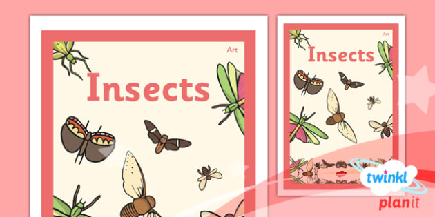 Art: Insects LKS2 Unit Book Cover