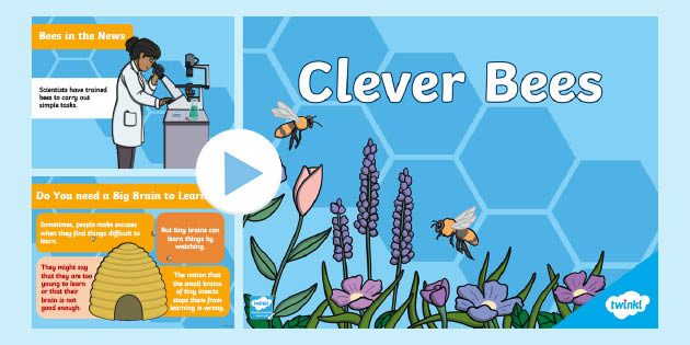 Bees PowerPoint (teacher made)
