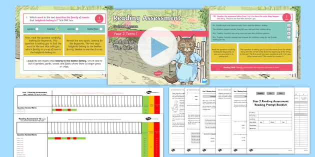 Year 2 Term 1 Paper 1 Reading Assessment Bumper Resource Pack