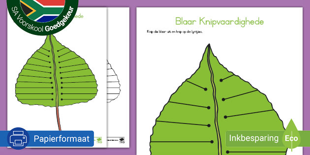 Blaar Knipvaardighede Aktiwiteit (teacher made)