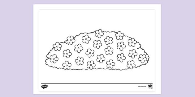 FREE! - Bush With Flowers Colouring Sheet (Teacher-Made)