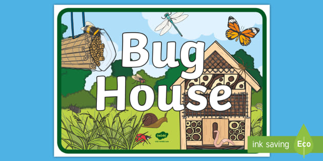 Bug House Display Poster (teacher made)