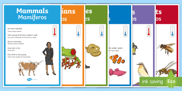 Animal Groups Display Posters - English / Spanish