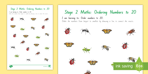 * NEW * New Zealand Maths Stage 2 Ordering numbers to 20 Insects Worksheet