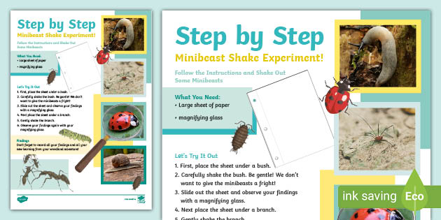 Step By Step Minibeast Shake Experiment!