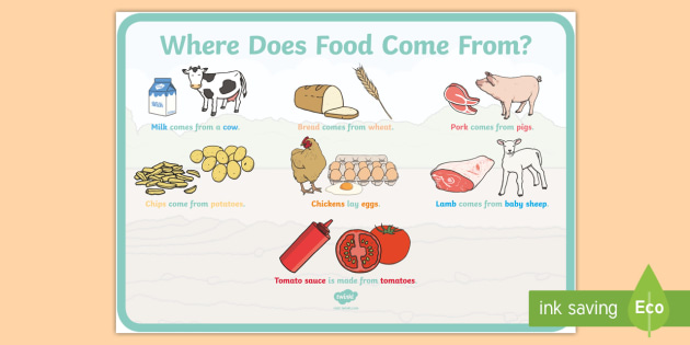 Where Does Food Come From Display Poster - Where Does Food Come