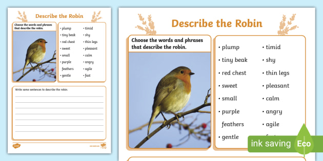 Describe the Robin Writing Worksheet (teacher made)