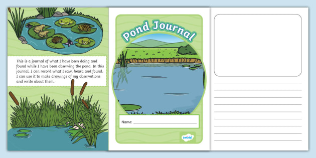 Pond Sciences | twinkl.com.au