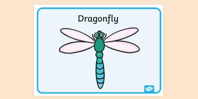 FREE! - Dragonfly Poster for Display - Primary Resources | Twinkl