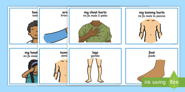 Parts of the Body Communication Cards English/Italian - Parts Of The Body