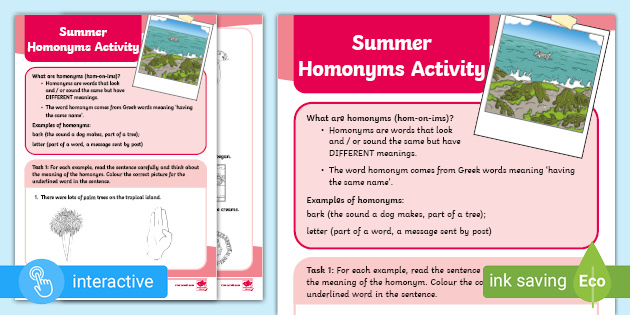 Activity Summer Homonyms