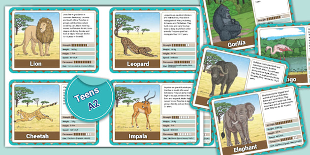 Comparative Adjectives | twinkl.com.au