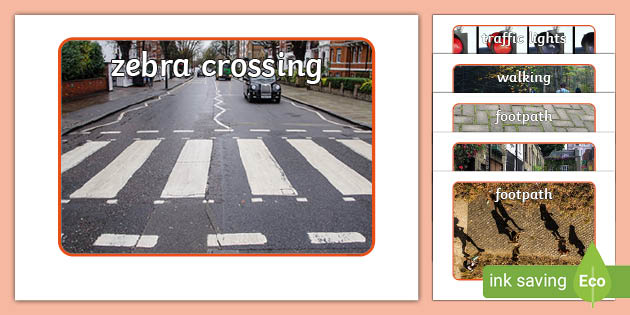Walk to School Week Display Photos (teacher made)