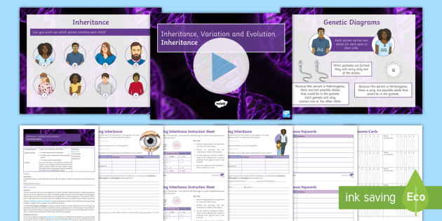AQA Inheritance, Variation and Evolution Lesson 4: Inheritance