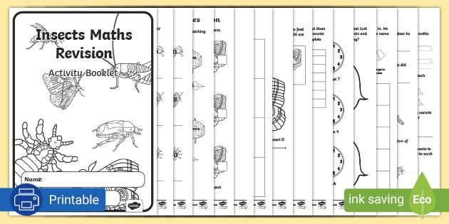 Maths Questions | Insect-Themed Revision Activity Booklet
