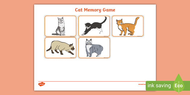 Cat Games | twinkl.co.uk