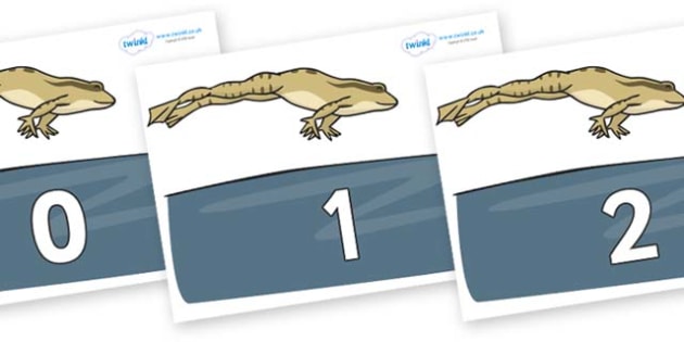 FREE! - Numbers 0-100 on Frog (teacher made)